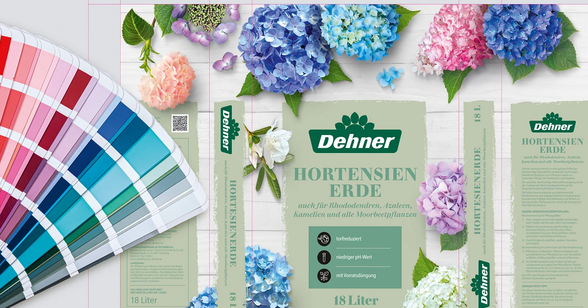 Reinzeichnung Hamburg | Agentur HAJOK